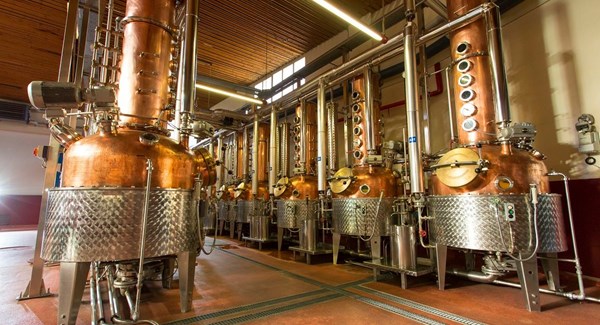 visite distillerie cocktails